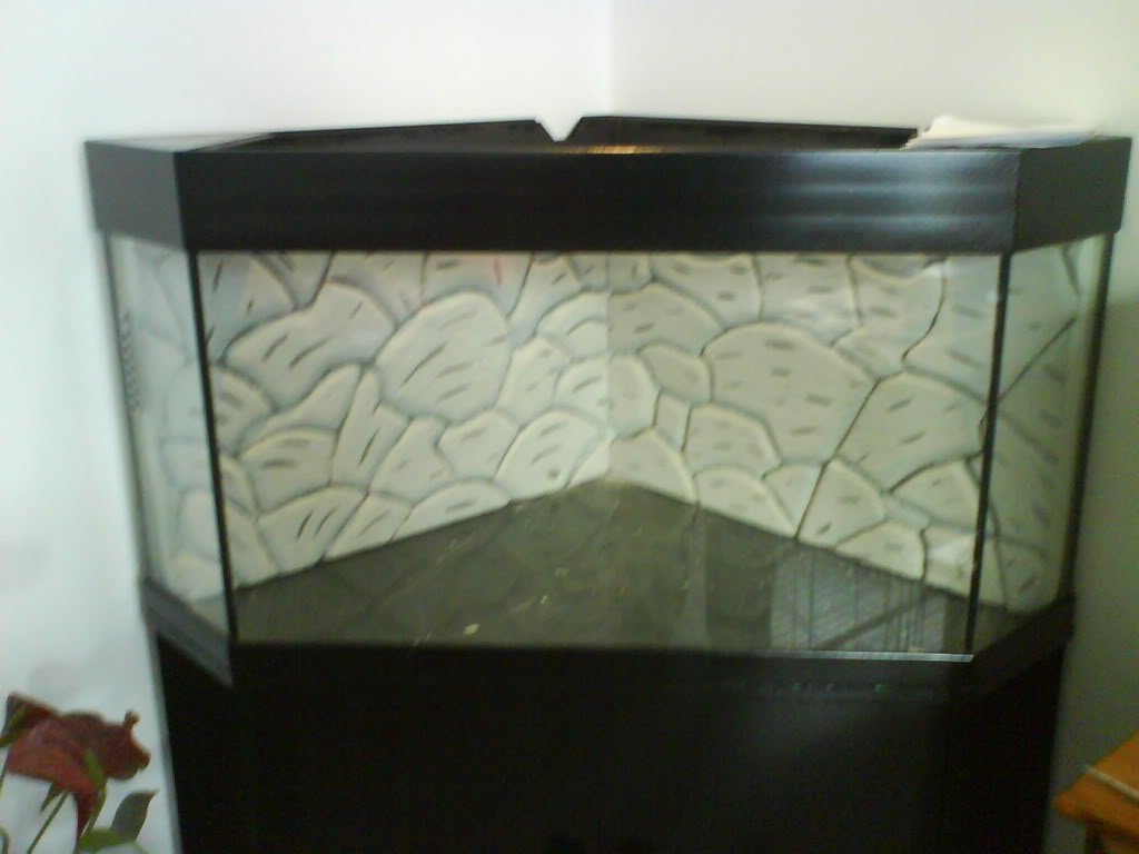 hoek aquarium van Jantine | AquaForum